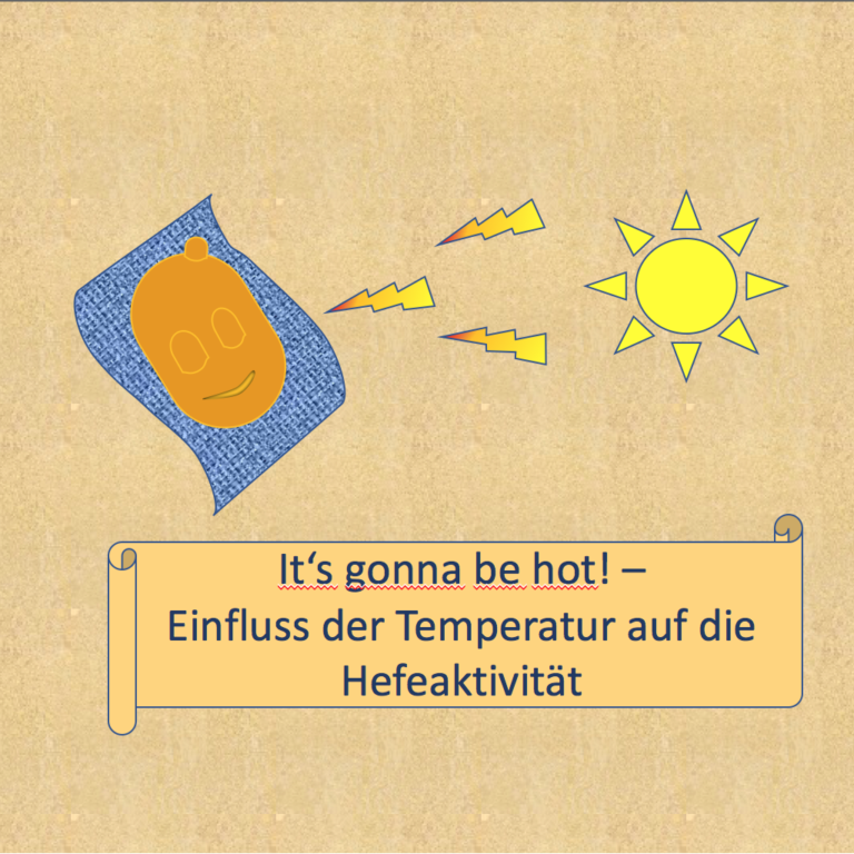 Further yeast experiments - Kniffelix