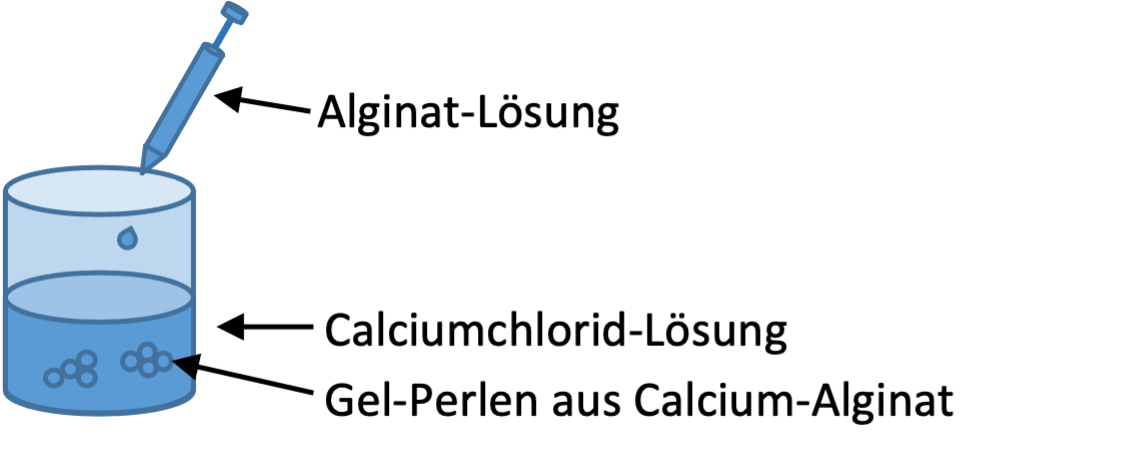Exkurs: Die Hydrogelbildung - Beispiel Gelierung von Alginat ...