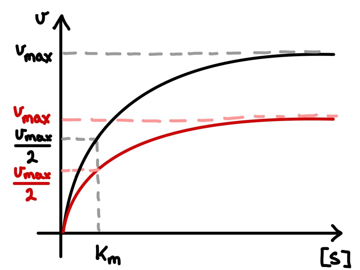 Enzymhemmung - Kniffelix